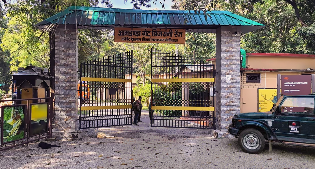 Jim Corbett Safari Booking Website