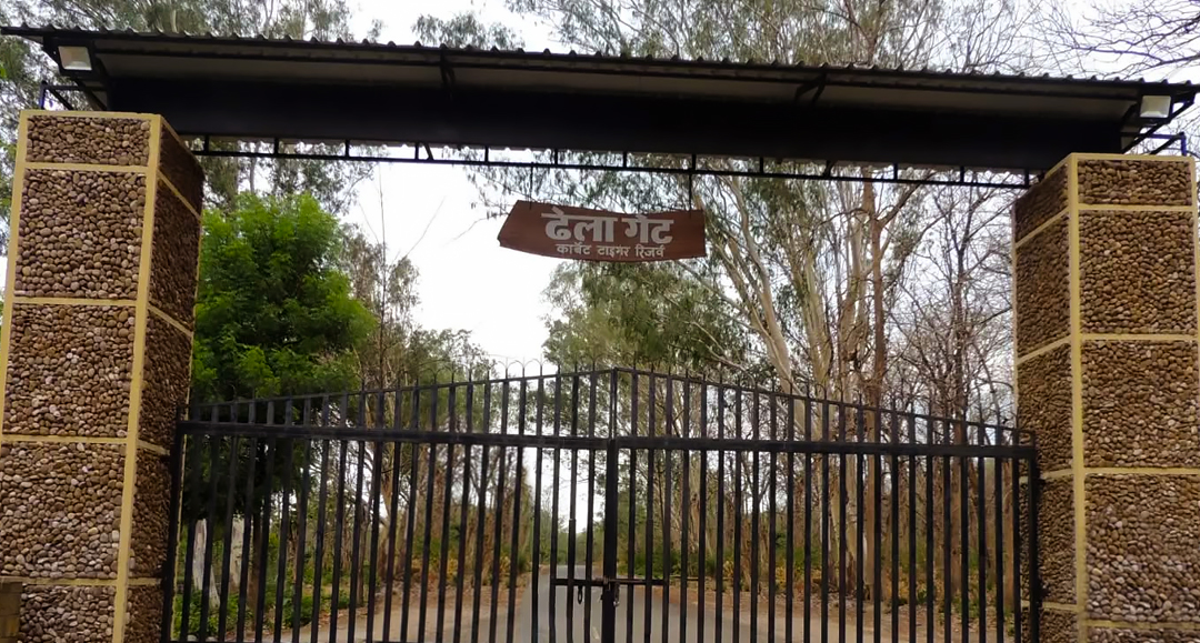 Jim Corbett Safari Booking Website