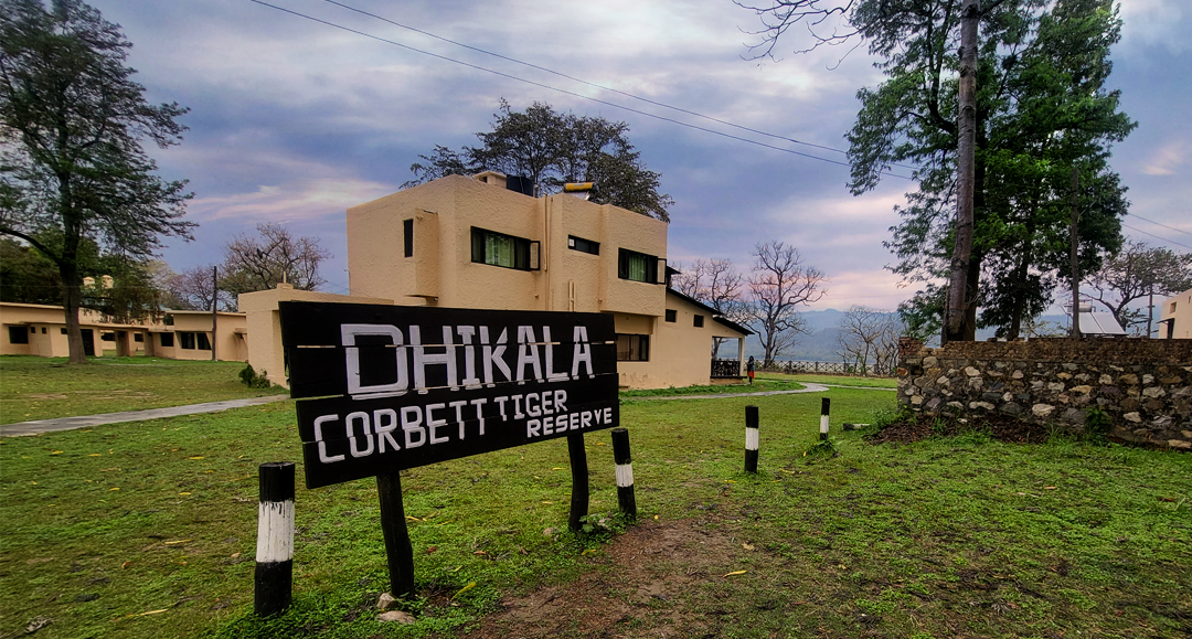 Jim Corbett Safari Booking Website