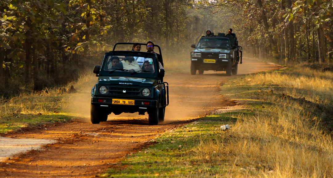 Jim Corbett Safari Booking Website